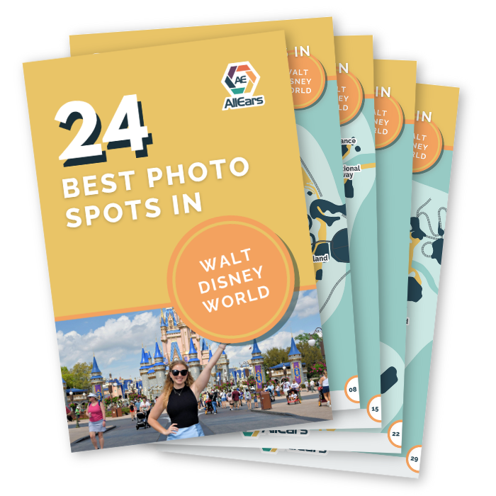 Find the Best Photo-Ops in Disney World!