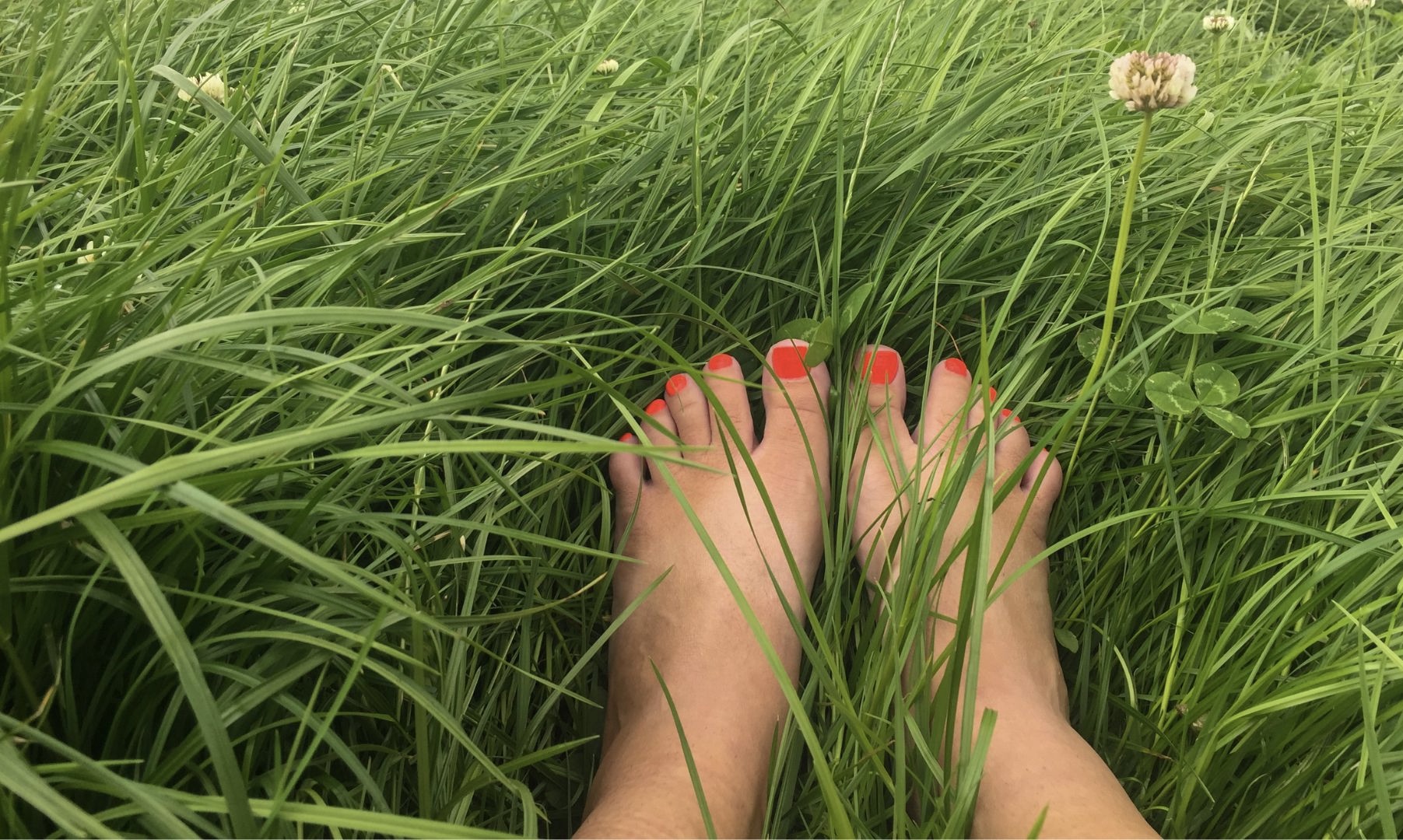 Login | Jennifer Reis Yoga