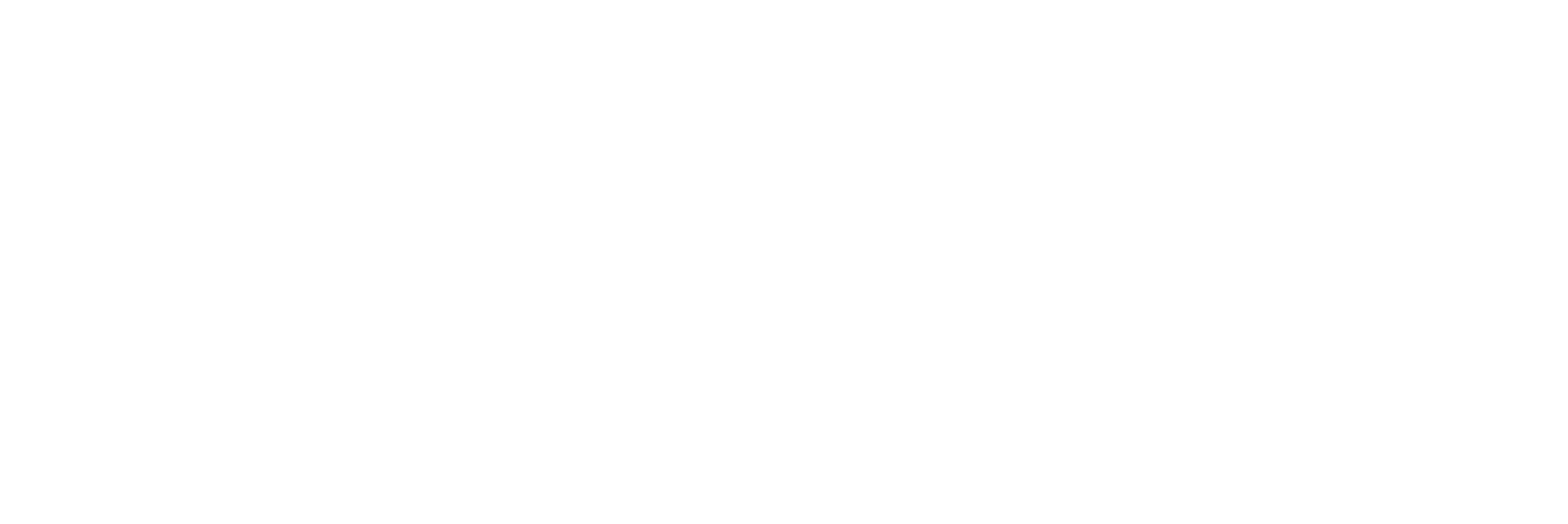 Bespoke Brand Developers: Performance Marketing Agency